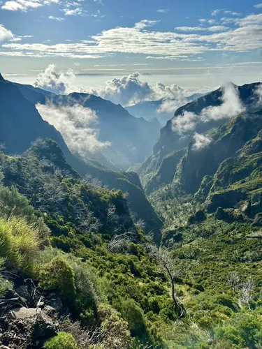10 Best Trails and Hikes in Madeira | AllTrails