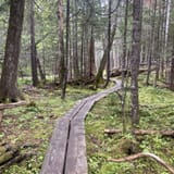 Little Harbor Brook Trail, Maine - 185 Reviews, Map | AllTrails