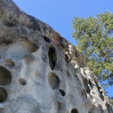 Cheese Rock Trail, Washington - 268 Reviews, Map | AllTrails