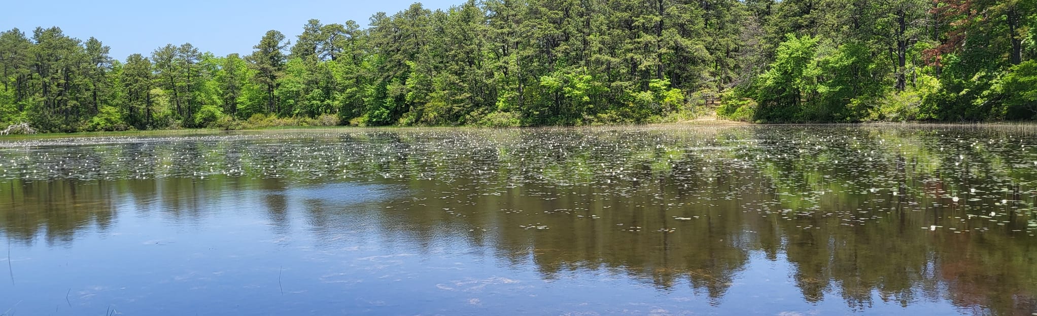 Sandy Pond via Wampmissick Trail and Paumanok Path, New York - 41 ...