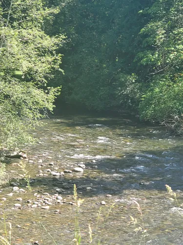 2023 Best Partially Paved Trails in Maple Valley | AllTrails