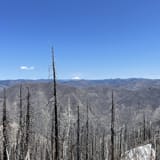 Natural Rock Arch Trail, Oregon - 198 Reviews, Map | AllTrails