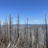 Natural Rock Arch Trail, Oregon - 198 Reviews, Map | AllTrails