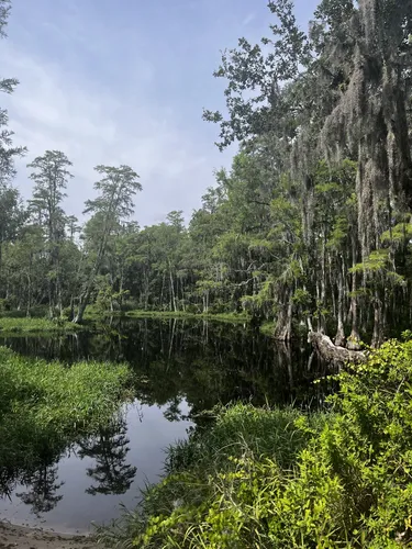 Best Hikes and Trails in Crooked River Preserve | AllTrails