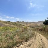 Bane Canyon Short Loop Trail, California - 844 Reviews, Map | AllTrails