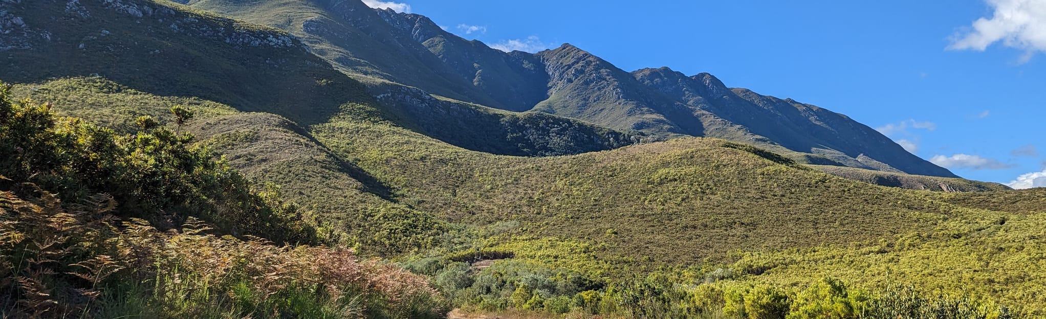 Grootkloof - Duivelsbos Trail, Western Cape, South Africa - Map, Guide ...