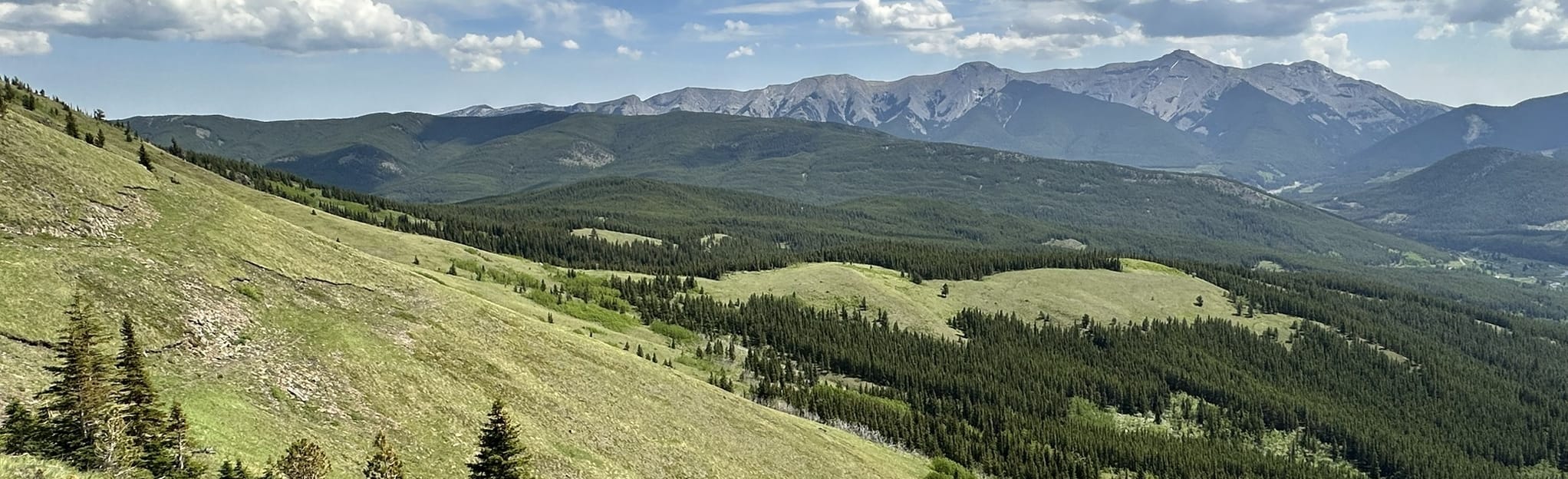 Raspberry Ridge Lookout Loop, Alberta, Canada - 435 Reviews, Map ...