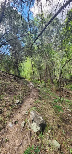 Best Hard Trails in Blue Range Primitive Area | AllTrails