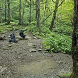 Snake Den Ridge Trail, Tennessee - 83 Reviews, Map | AllTrails