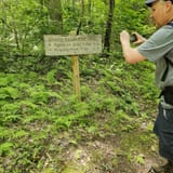 Snake Den Ridge Trail, Tennessee - 83 Reviews, Map | AllTrails