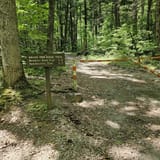 Snake Den Ridge Trail, Tennessee - 83 Reviews, Map | AllTrails