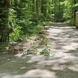 Snake Den Ridge Trail, Tennessee - 83 Reviews, Map | AllTrails
