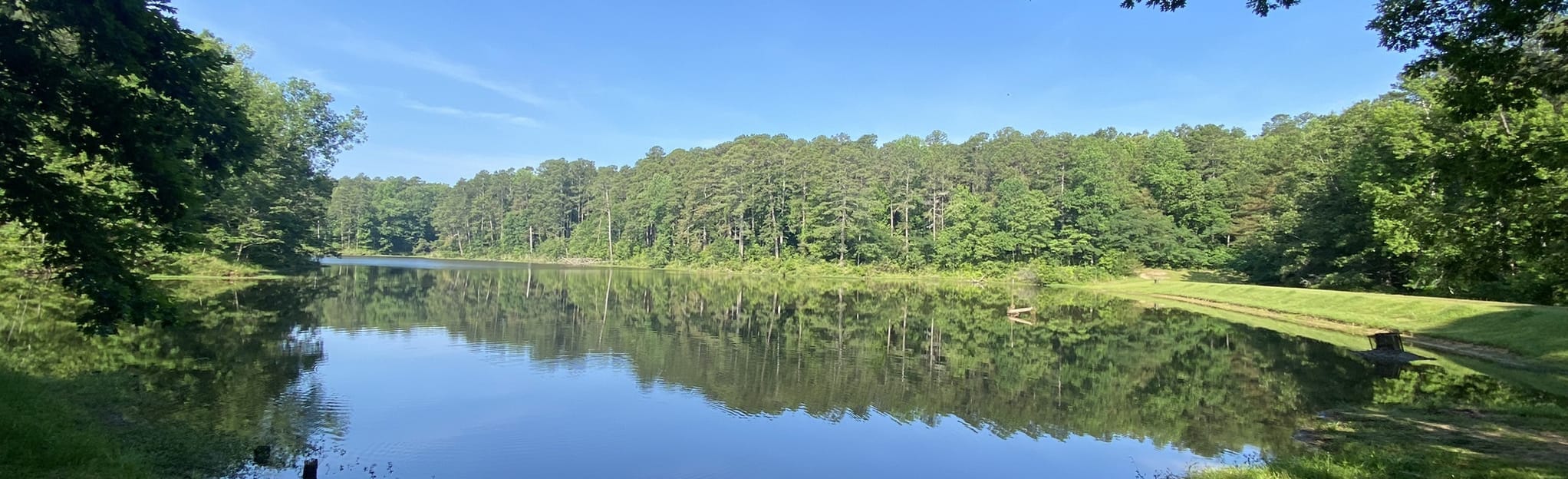 Legion State Park Camp Trail: 24 Reviews, Map - Mississippi | AllTrails