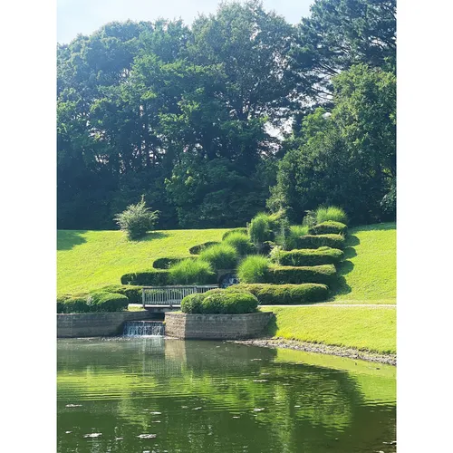 Best Hikes and Trails in Johnson Road Park | AllTrails