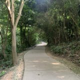 Three Rivers Greenway Trail, South Carolina - 445 Reviews, Map | AllTrails
