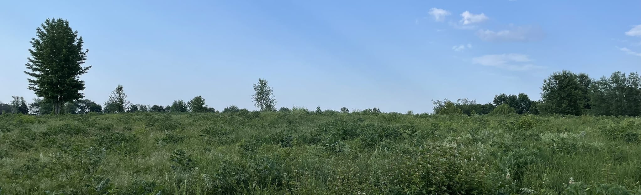 Jo Allyn Lowe Park Loop: 27 Reviews, Map - Oklahoma | AllTrails