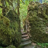 Santiam Wagon Road to House Rock, Oregon - 417 Reviews, Map | AllTrails