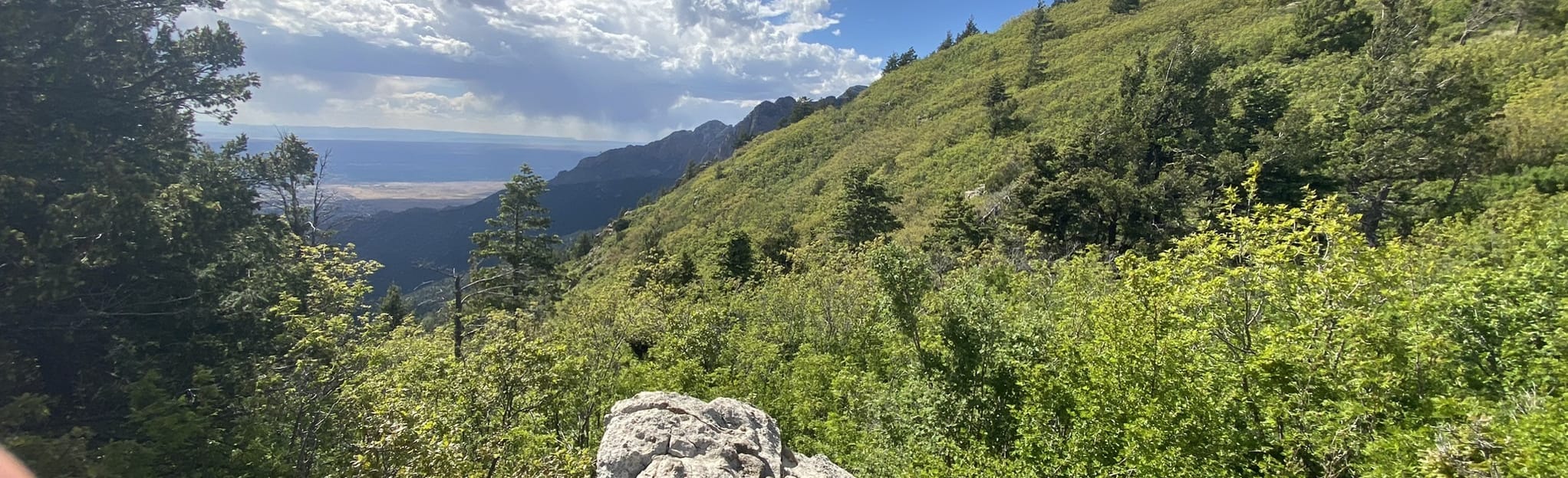 Sandia Crest Trail, New Mexico - 102 Reviews, Map | AllTrails