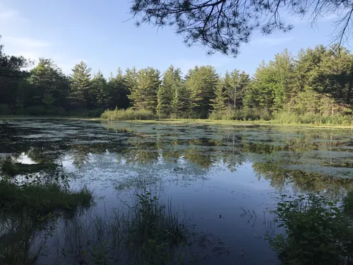 Best Hikes and Trails in Carp Hills Municipal Nature Reserve | AllTrails