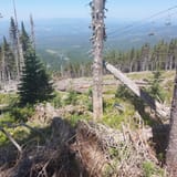 Mount Kit Carson Loop Road, Trail 140 and Trail 110 Loop, Washington ...