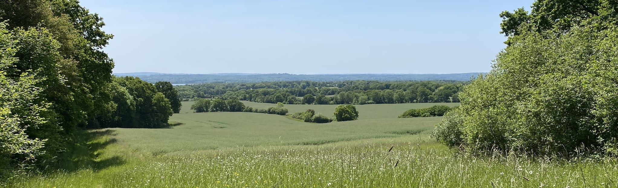 Bough Beech Reservoir and Tilehurst Wood Circular, Kent, England - 21 ...