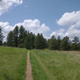 Cold Brook Canyon Trail, South Dakota - 346 Reviews, Map | AllTrails
