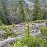 Keystone Gulch, Colorado - 232 Reviews, Map | AllTrails