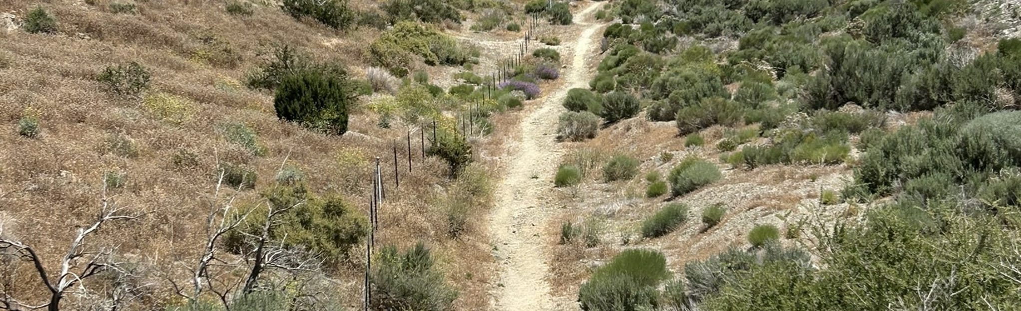 Pct Ca Section F Tehachapi Pass To Walker Pass 76 Reviews Map California Alltrails