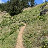Tire Mountain Trail, Oregon - 149 Reviews, Map | AllTrails