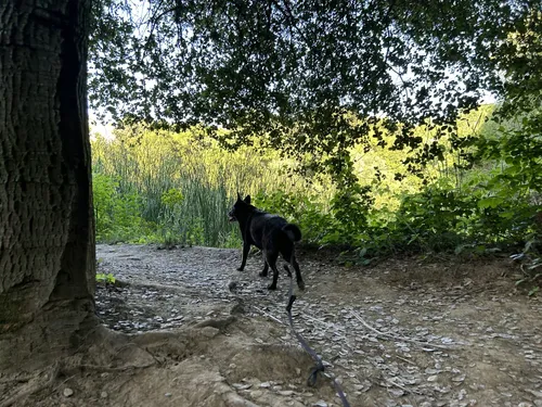 Best Hikes and Trails in Don Castro Regional Recreation Area | AllTrails