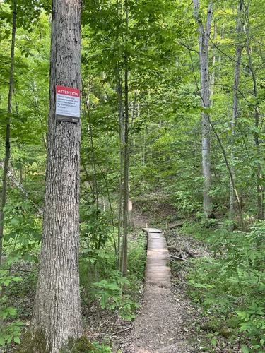 Best Hikes and Trails in Clappison Woods Conservation Area | AllTrails