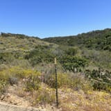 Balboa Park Loop, California - 898 Reviews, Map | AllTrails