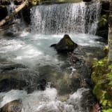 Easton Ridge Trail, Washington - 367 Reviews, Map | AllTrails