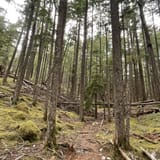 Wesley Ridge, British Columbia, Canada - 716 Reviews, Map | AllTrails