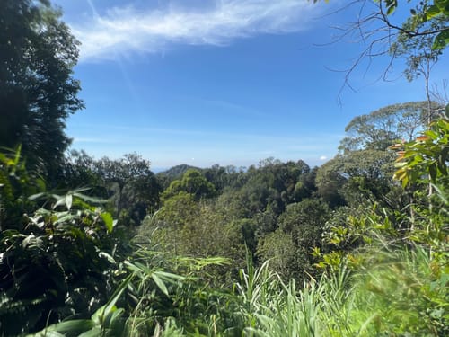 Gunung Pulai Recreational Forest: Die besten Campingtouren | AllTrails