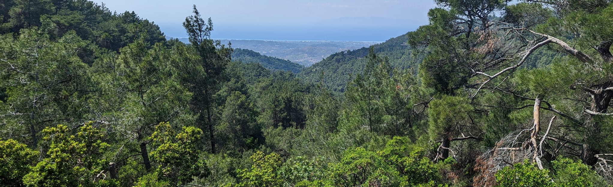 Theologos Beach - Afandou Beach: 16 foto's - Rhodes, Griekenland ...