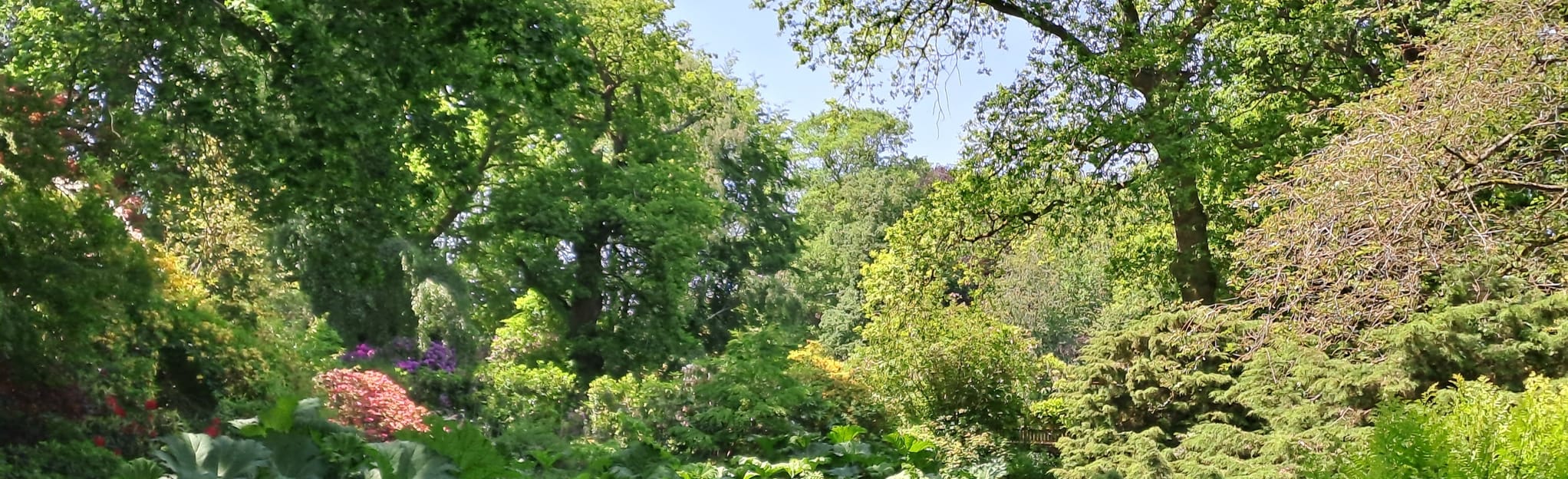 Attingham Park Circular: 2 Reviews, Map - Shropshire, England | AllTrails