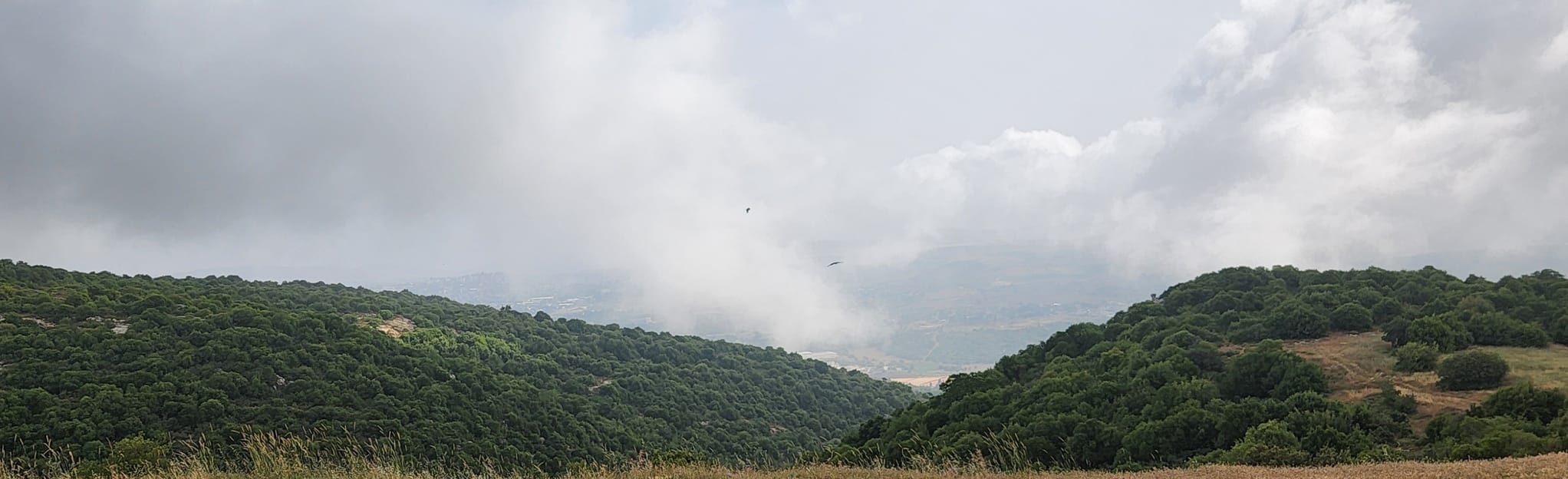 Amud Stream to Baram Forest via Mount Meron: 2 Reviews, Map - Northern ...