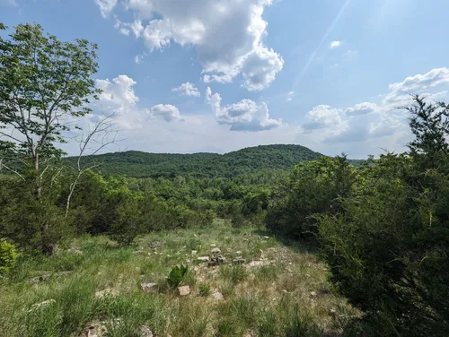 10 Best Hikes and Trails in Busiek State Forest and Wildlife Area ...
