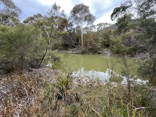 10 Best Hikes and Trails in Lake Alexandra Reserve | AllTrails