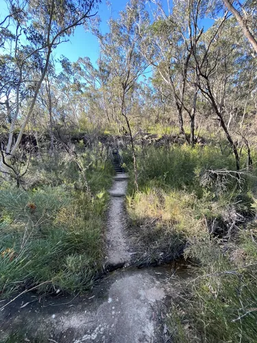 10 Best Trails and Hikes in Bundanoon | AllTrails