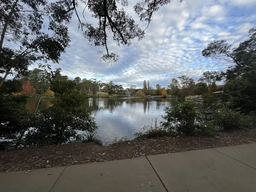 10 Best Hikes and Trails in Lake Alexandra Reserve | AllTrails