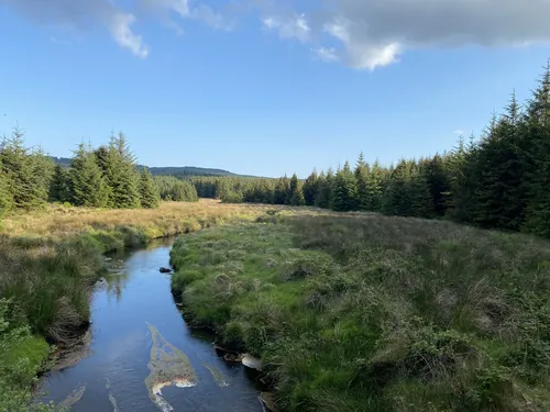 10 Best Hikes and Trails in Sperrins National Landscape (AONB) | AllTrails