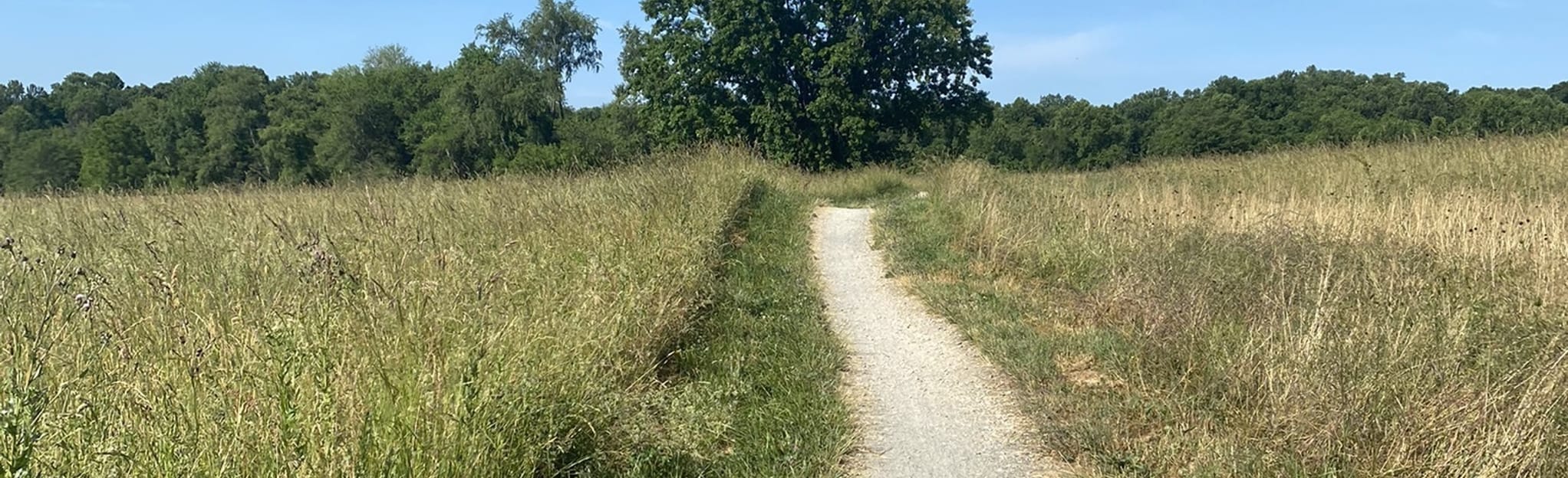 White Clay Creek State Park Loop, Delaware - 184 Reviews, Map | AllTrails