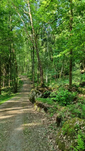 Best Lake Trails in Rya Åsar Nature Reserve | AllTrails