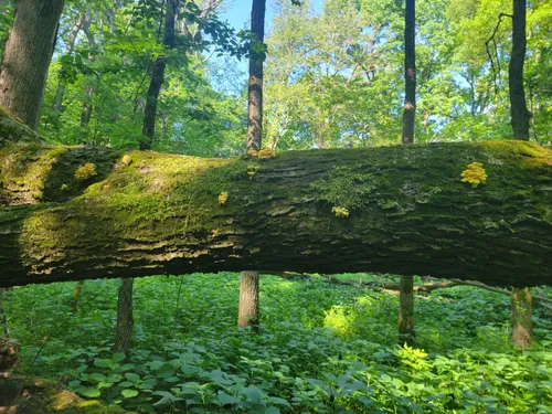 Best 10 Hiking Trails in Lost Lake State Natural Area | AllTrails