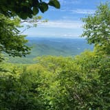 Appalachian Trail: Deep Gap to Dicks Creek, North Carolina - 88 Reviews ...