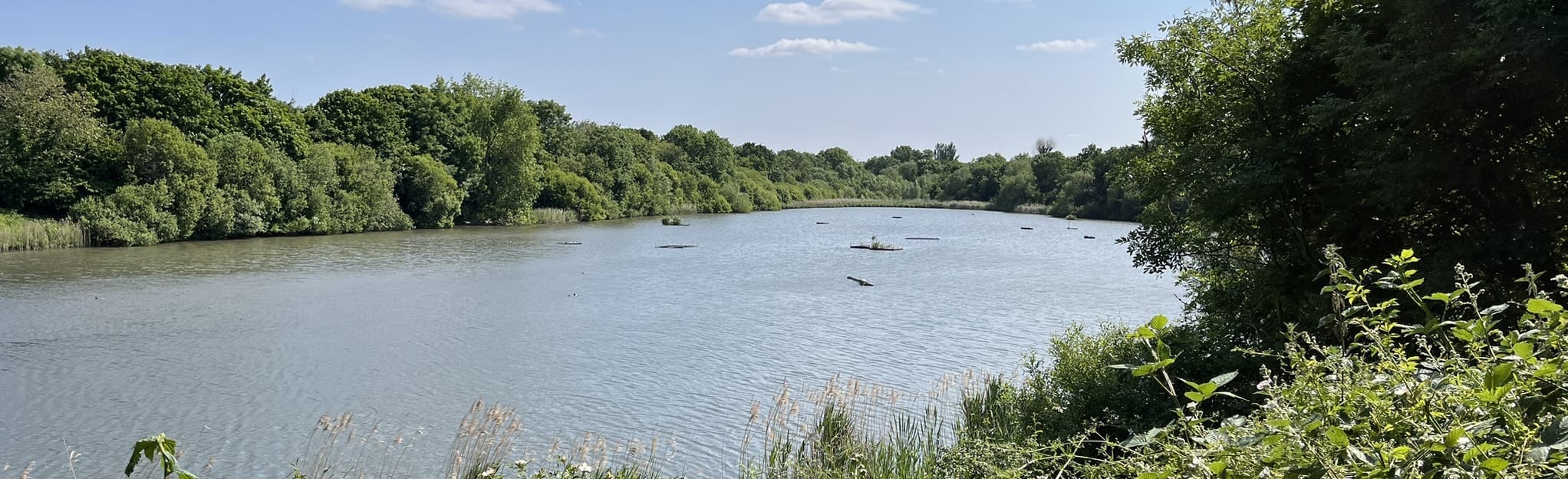 Thames Path National Trail: Hammersmith Bridge to Richmond Bridge: 105 ...