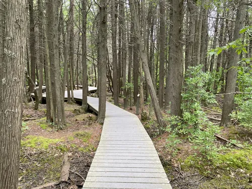 10 Best Walking Trails in Cape Cod National Seashore | AllTrails