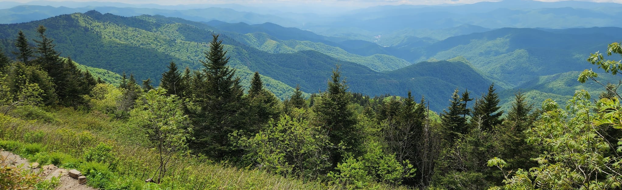 Plott Balsam via Waterrock Knob Trail , North Carolina - 104 Reviews ...